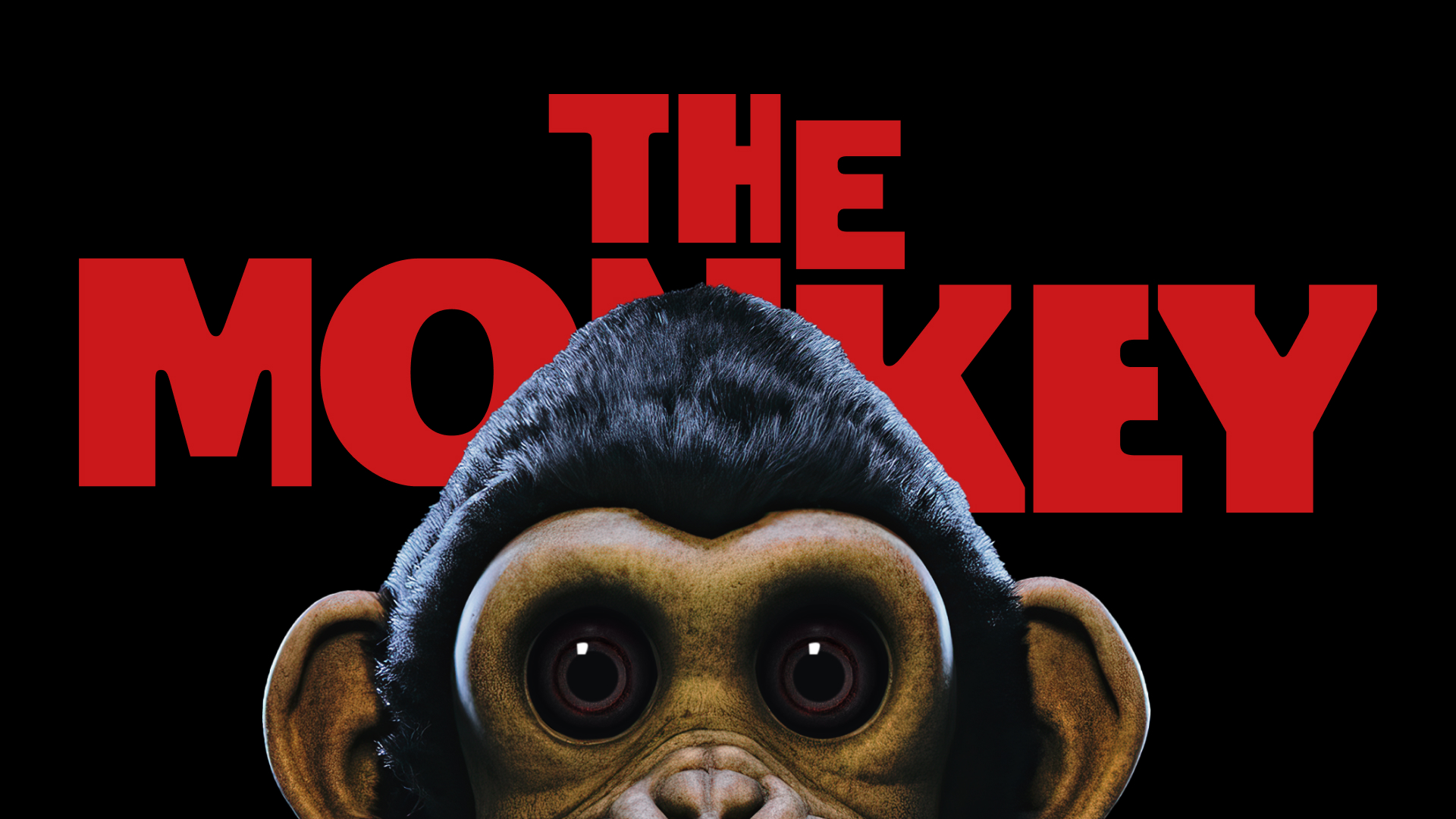 THE MONKEY | GET NOTIFIED ONCE THE SHOP IS OPEN